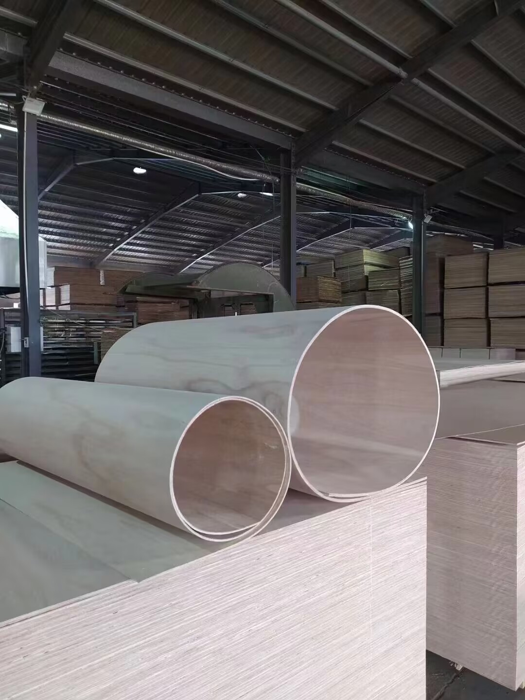 Contreplaqué cintrable - TAKARAPRODUCTS