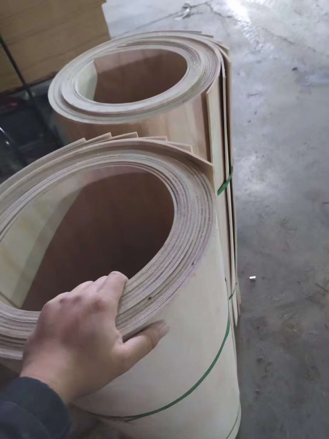 Contreplaqué cintrable - TAKARAPRODUCTS